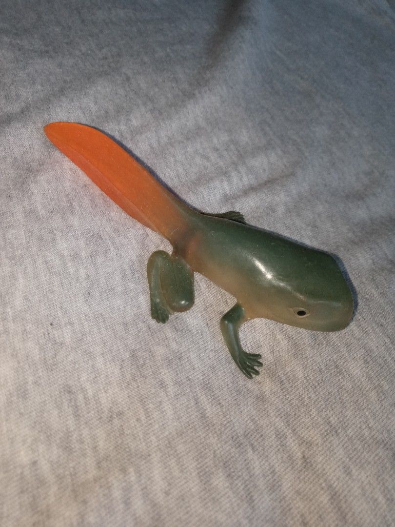 Frog Life Cycle set, Hobbies & Toys, Toys & Games on Carousell