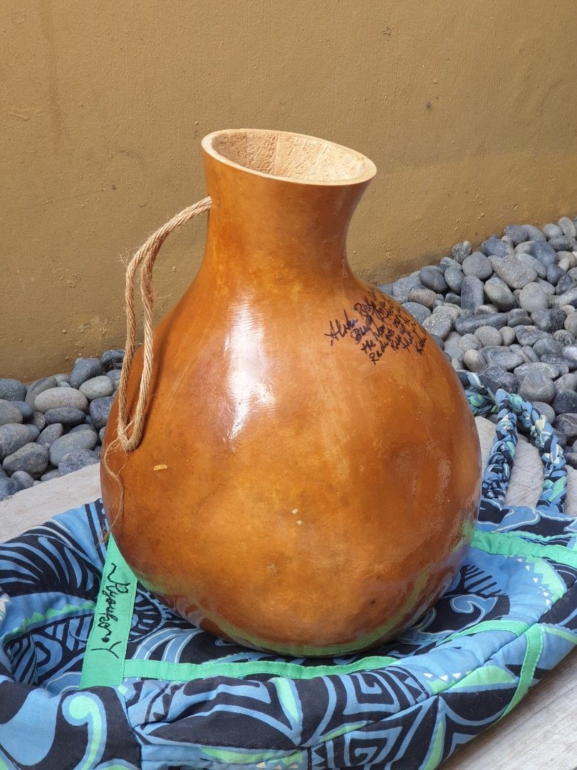 Ipu - Hawaiian Hula Percussion Instrument, Hobbies & Toys, Music ...