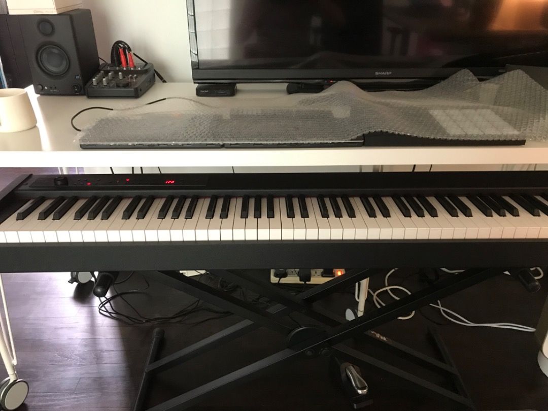 Korg D1 Digital Piano/Keyboard, Hobbies & Toys, Music & Media, Musical ...