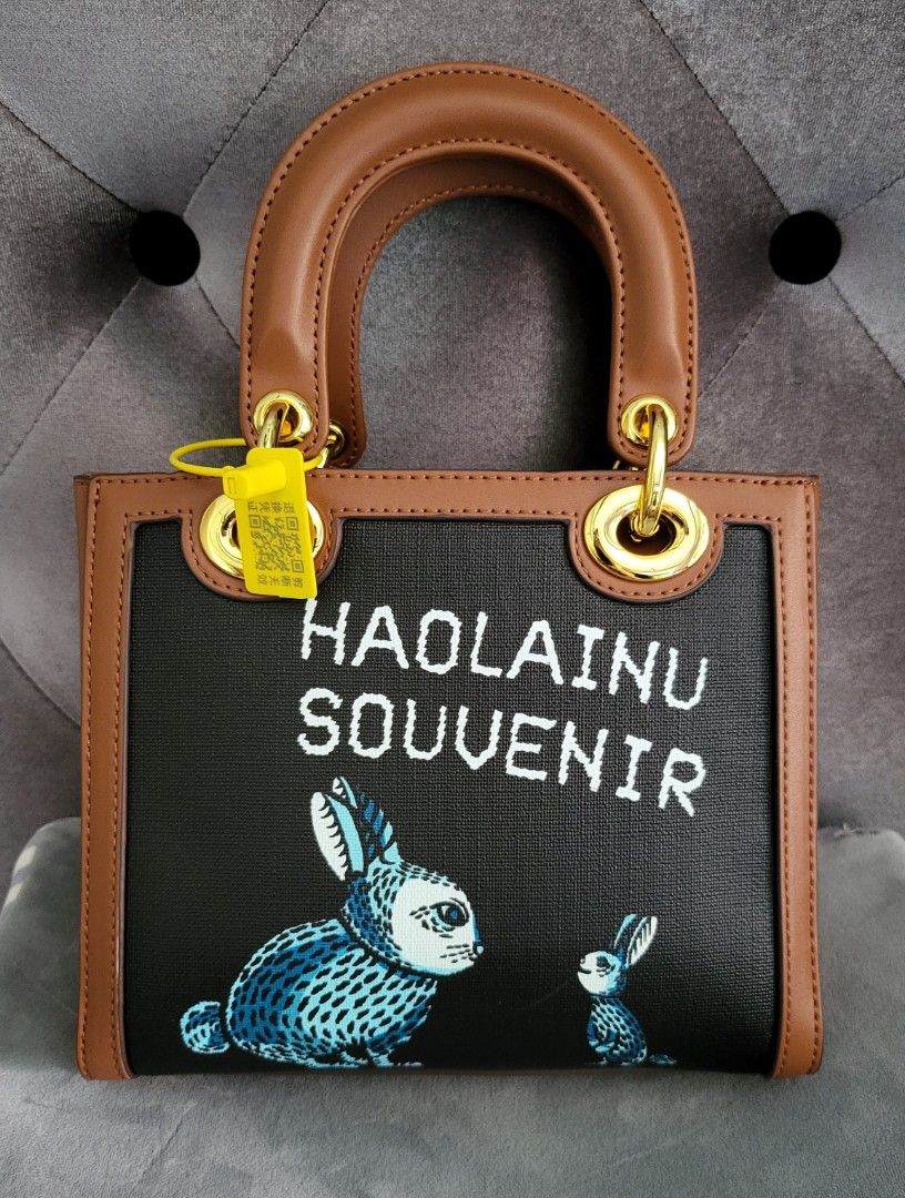 Lady Diana Dual Face bag, Women's Fashion, Bags & Wallets, Cross-body ...