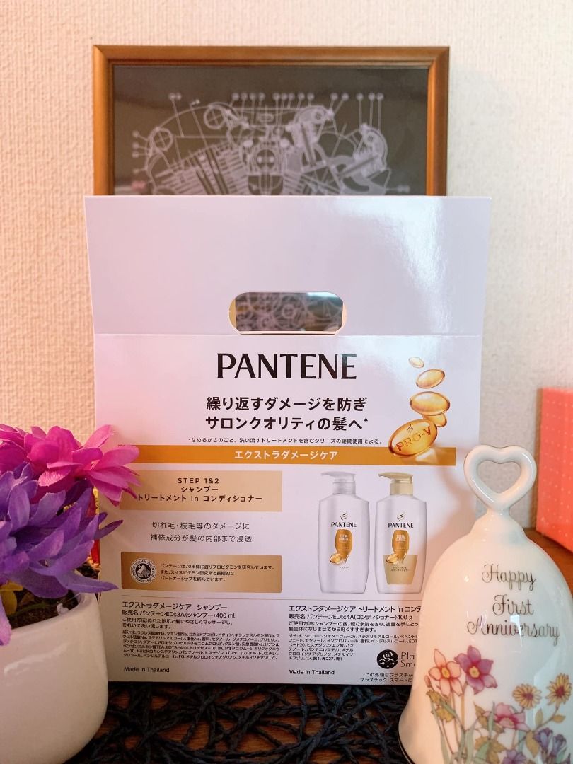 PANTENE Extra Damage Care Shampoo & Treatment Conditioner 400g x 2 ...