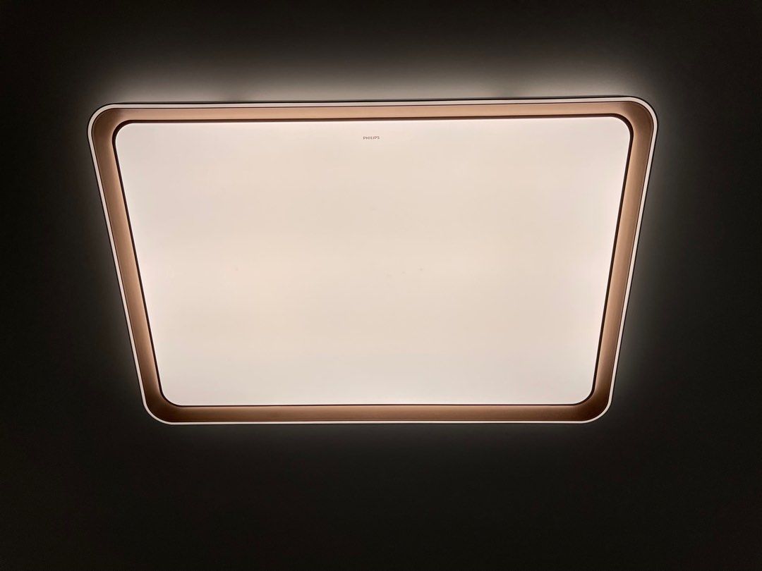 Philips rectangle ceiling light, 傢俬＆家居, 燈飾及風扇, 燈飾 - Carousell