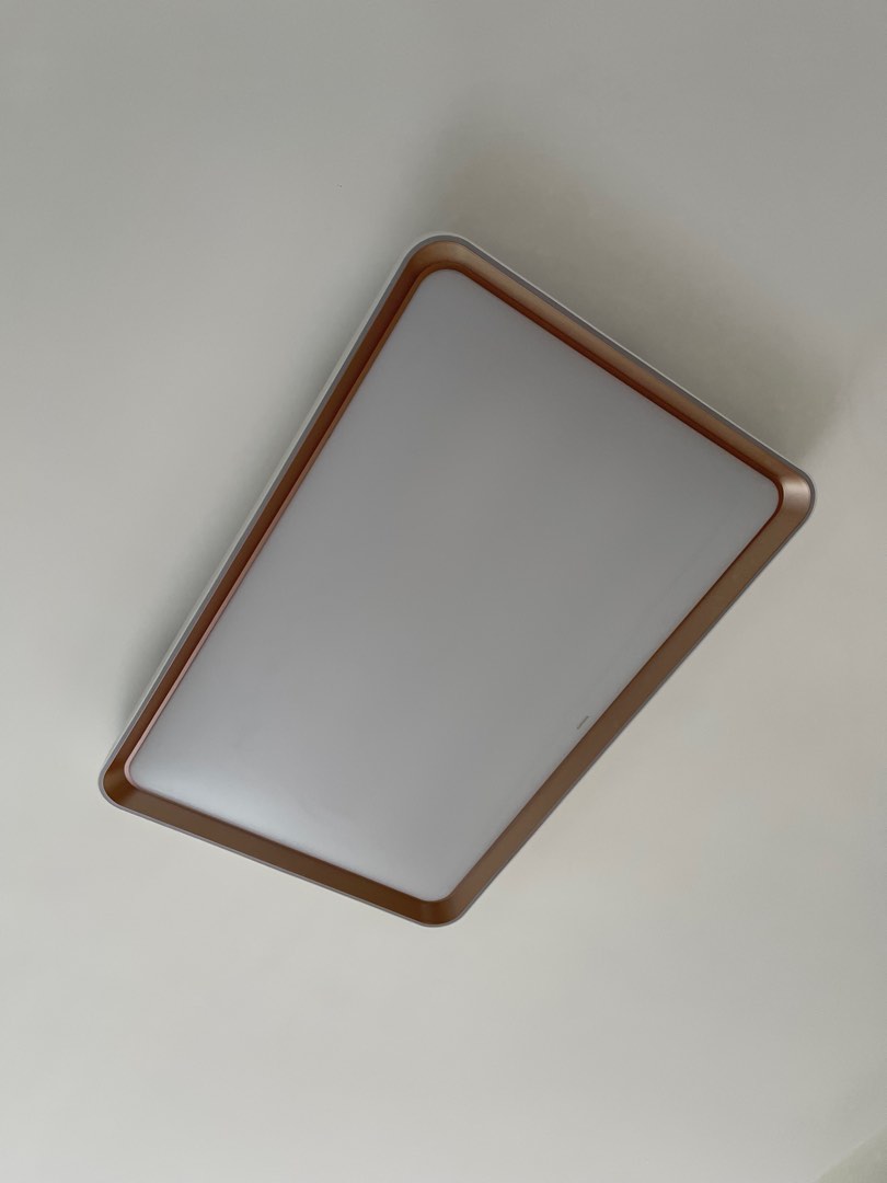 Philips rectangle ceiling light, 傢俬＆家居, 燈飾及風扇, 燈飾 - Carousell