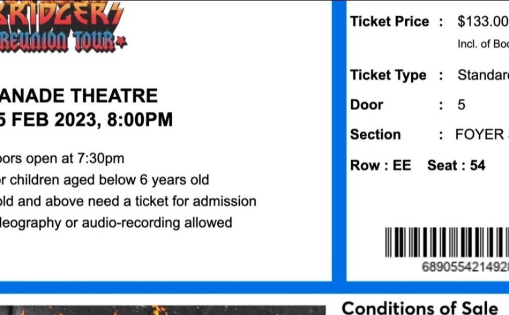 Phoebe Bridgers CAT 1 Foyer Stalls ticket, Tickets & Vouchers, Event Tickets on Carousell