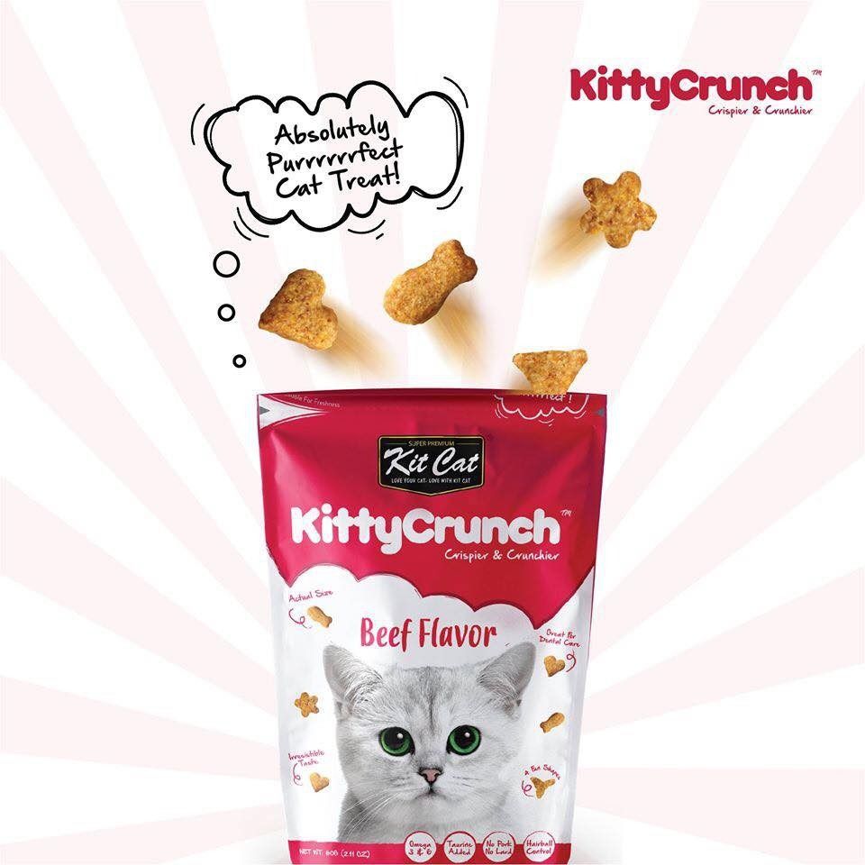 Ready Stock! Kitty Crunch by KitCat 60g Cat Treat Comes in 6 flavors ...