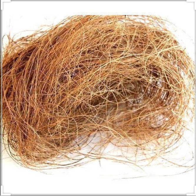 Sabut Kelapa 3 bag RM20, Furniture & Home Living, Gardening, Garden ...