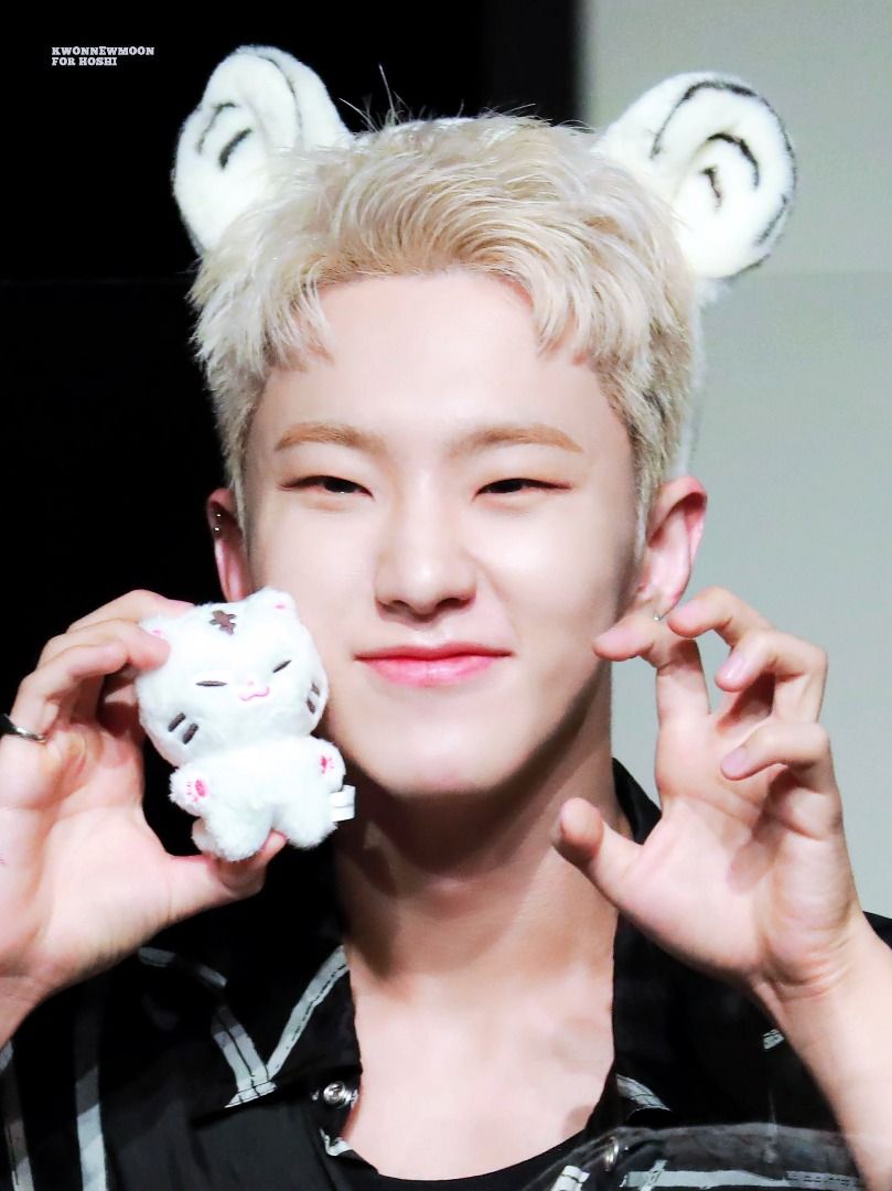 Seventeen SVT Hoshi Hojji 10cm Silver Tiger Doll by @hojji_loverz ...