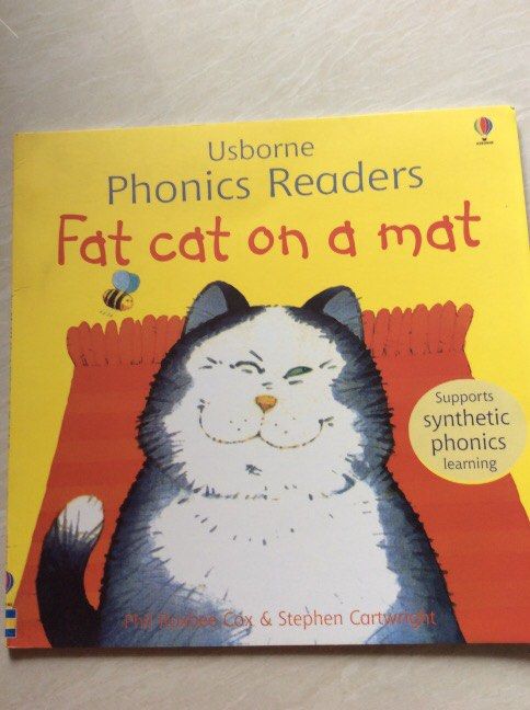 Usborne Phonics Readers (fat cat on a mat ), Hobbies & Toys, Books ...