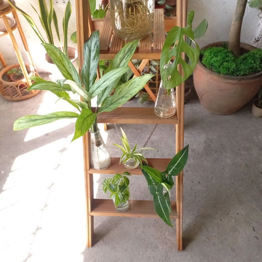 Wooden 4 step folding ladder farmhouse boho cottagecore, Furniture ...