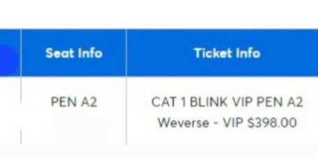 (LG) CAT 1 BLINK VIP PEN A2 (ONLY 1) BLACKPINK BORN PINK CONCERT ...