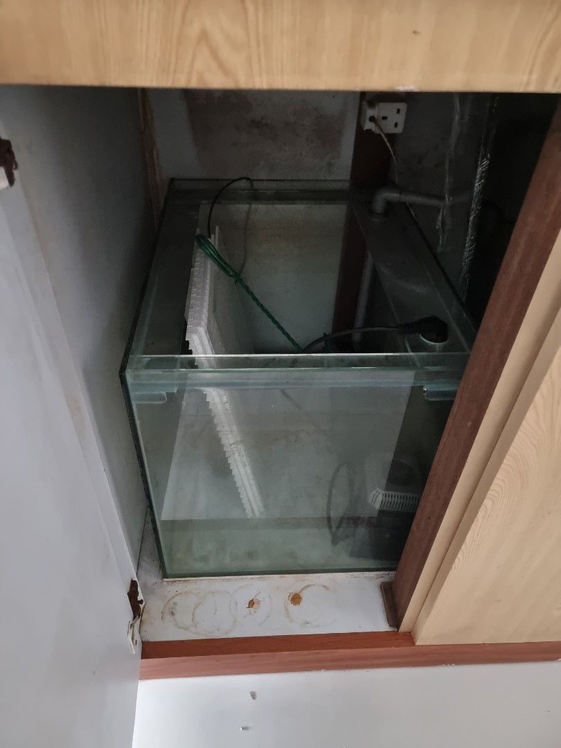 6 by 2.5 ft tank, Pet Supplies, Homes & Other Pet Accessories on Carousell