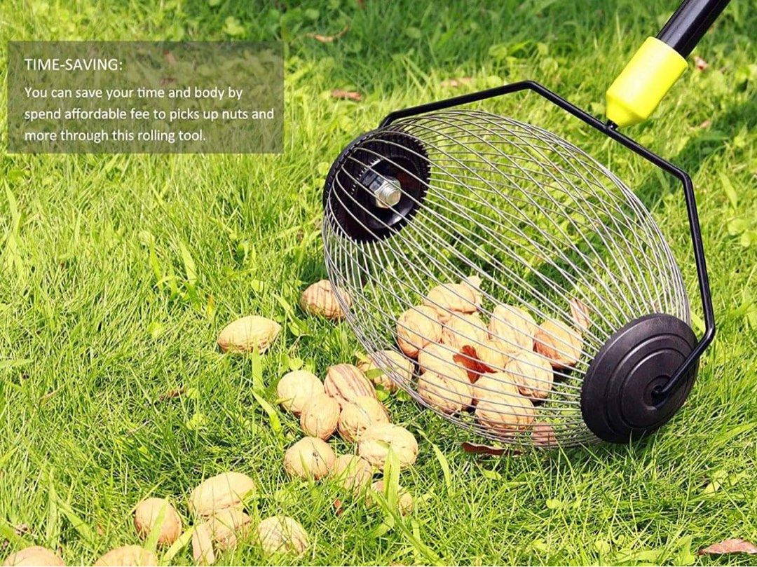 Nut Harvester Ball Picker & Nut Gatherer (Large/ 49 Inches), Furniture ...