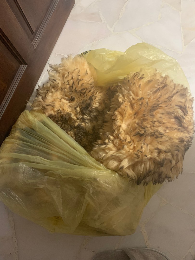 Sheep wool mat, Furniture & Home Living, Home Decor, Carpets, Mats ...