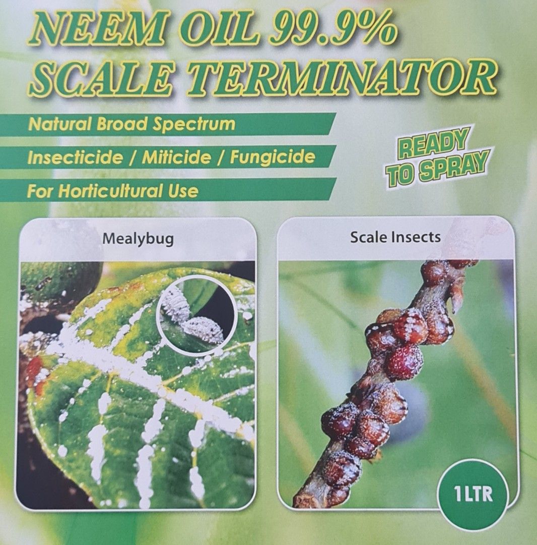 Plants & Gardening - Pests - StarX Neem Oil Insecticide / Fungicide ...