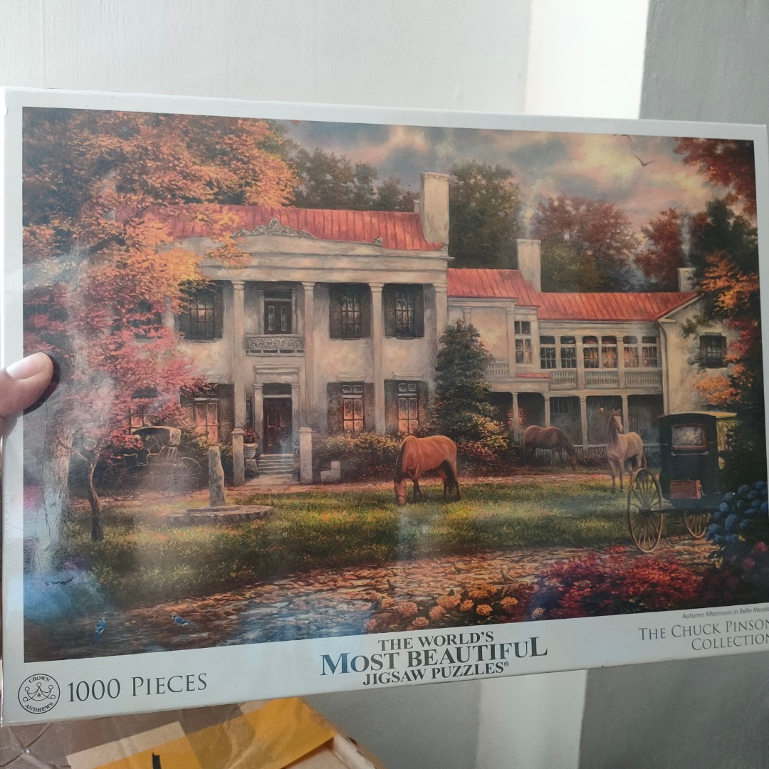 The Most Beautiful Jigzaw Puzzle 1000pcs, Hobbies & Toys, Toys & Games ...