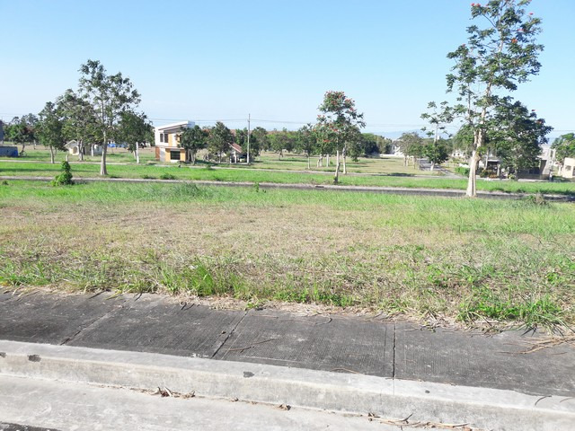 150 Sq mtrs x 2 lots ( 300 Sq Mtrs ) Morning Fields , Canlubang ...