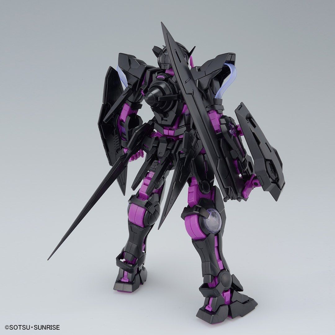 BANDAI 模型 限定版 MG 能天使 高達 GUNDAM EXIA ECOPLA RECIRCULATION COLOR / NEON ...