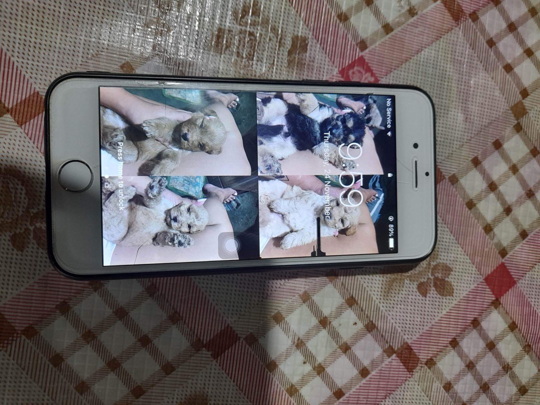 Bypass, Mobile Phones & Gadgets, Mobile Phones, iPhone, iPhone 6 Series ...