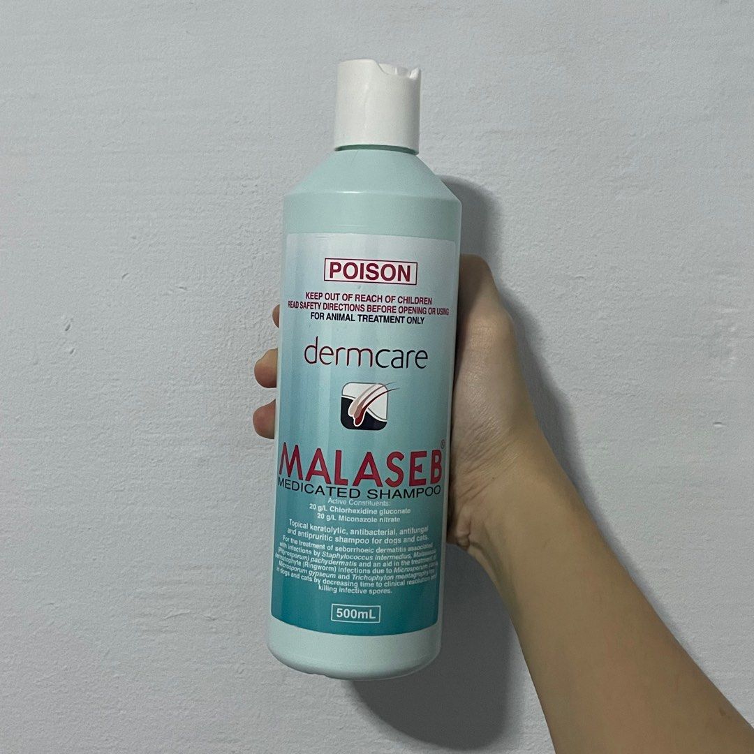 Dermcare Malaseb Medicated Shampoo 500ml, Pet Supplies, Health ...
