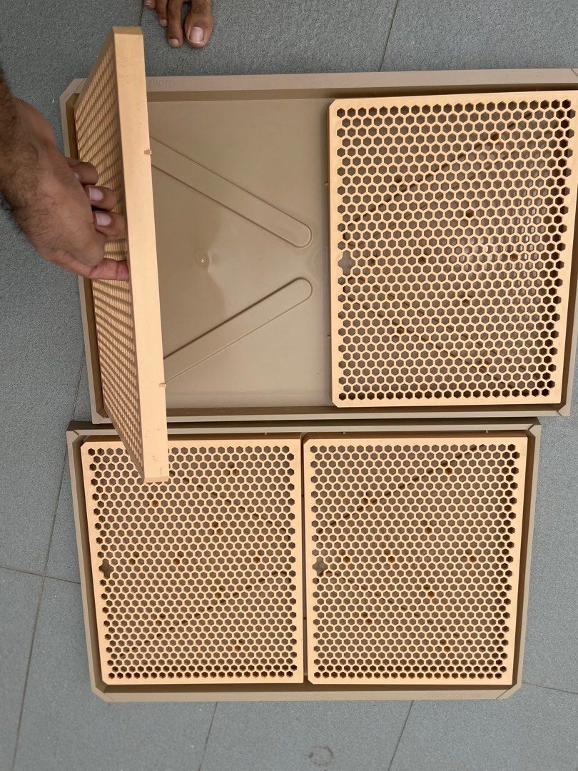 Large Pee Tray (Yogipet)x2, Pet Supplies, Homes & Other Pet Accessories ...