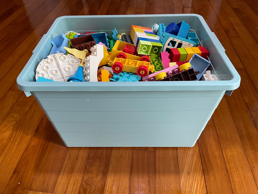 LEGO DUPLO (genuine) bricks and elements, Babies & Kids, Infant ...