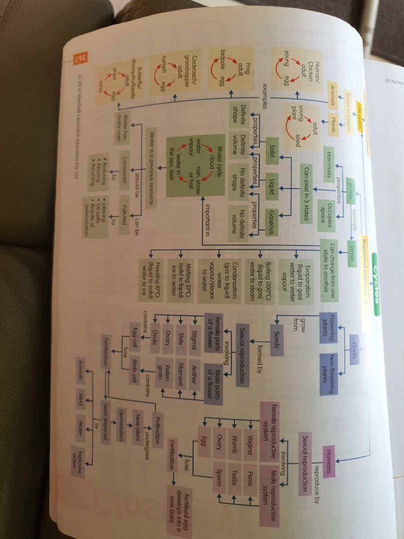 PSLE Science Revision Guide, Hobbies & Toys, Books & Magazines ...