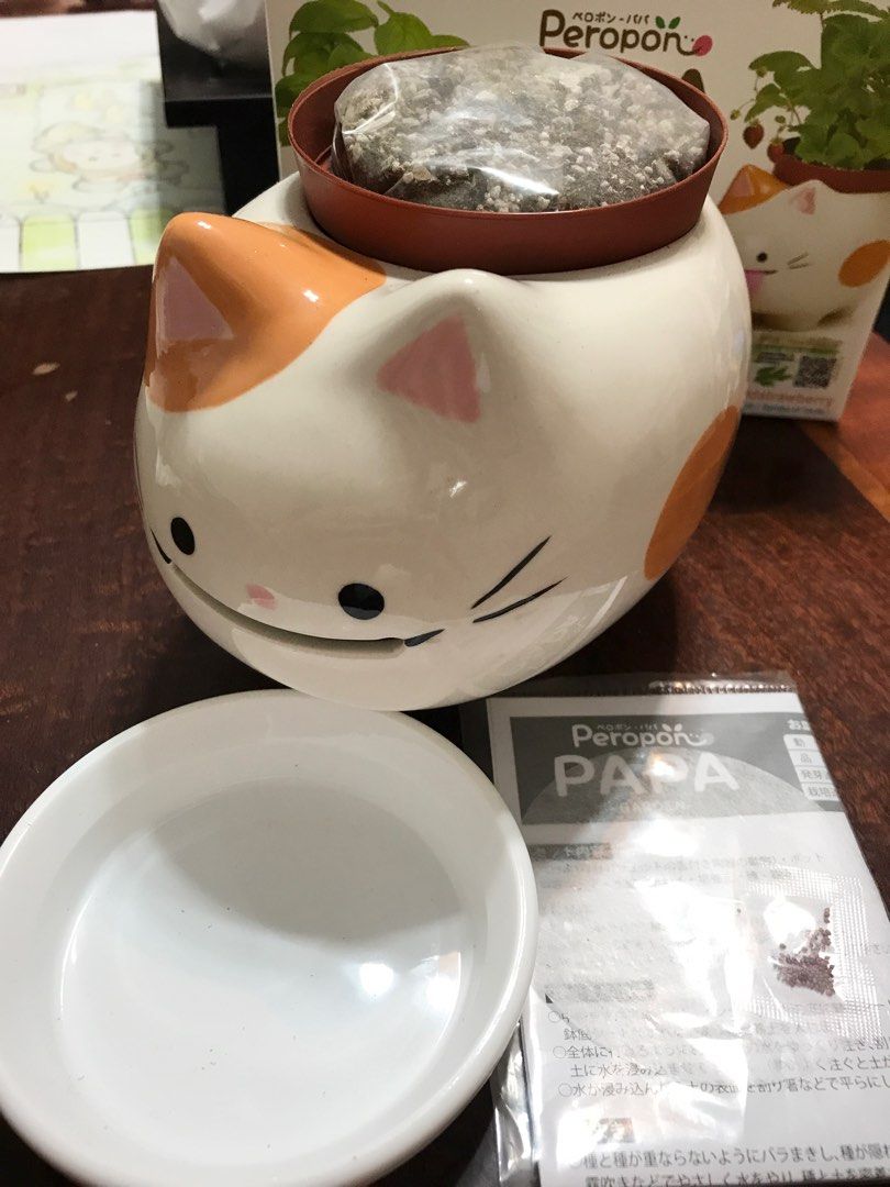 日本Seishin Peropon PAPA 自動吸水植物小盆栽 - 三色貓野草莓, 傢俬＆家居, 園藝, 植物及種子 - Carousell