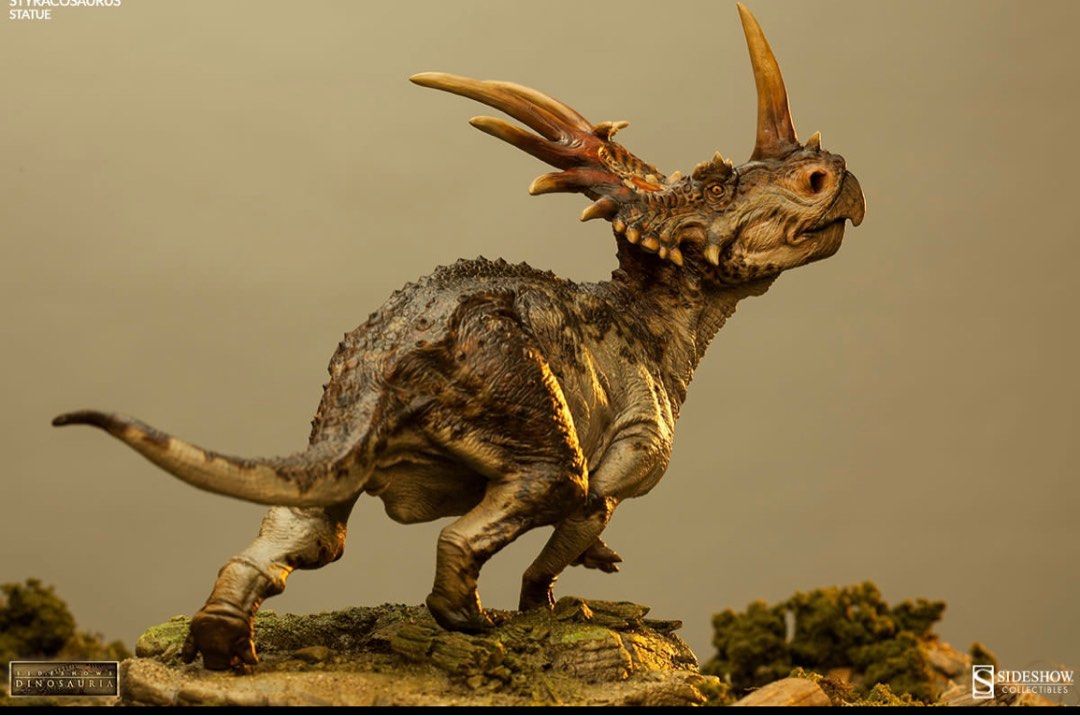 Sideshow Dinosauria Styracosaurus, Hobbies & Toys, Toys & Games on ...