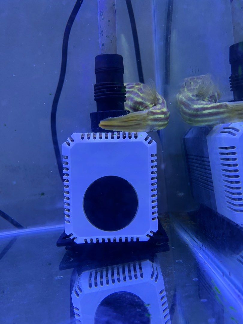 2 Feet Tank with freshly painted iron stand Plug and Play fully ...