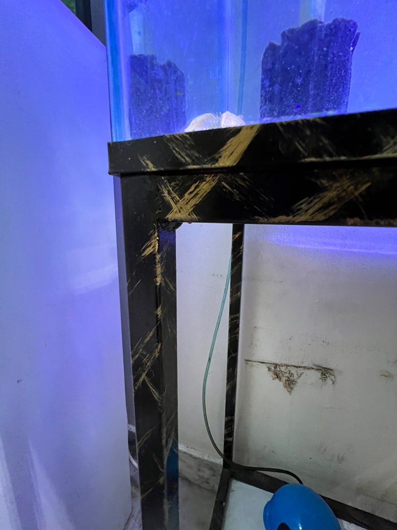 2 Feet Tank with freshly painted iron stand Plug and Play fully ...