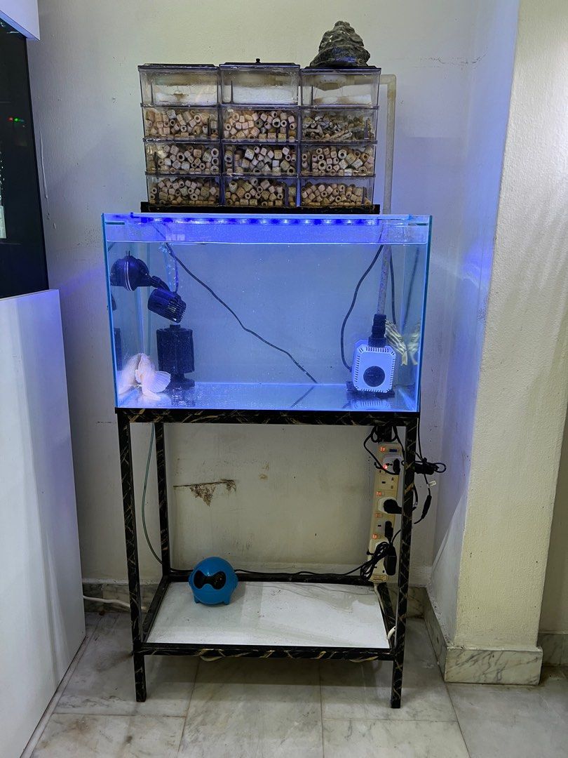 2 Feet Tank with freshly painted iron stand Plug and Play fully ...