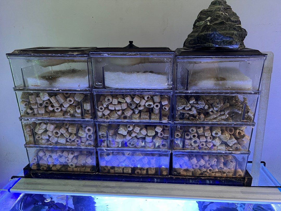 2 Feet Tank with freshly painted iron stand Plug and Play fully ...