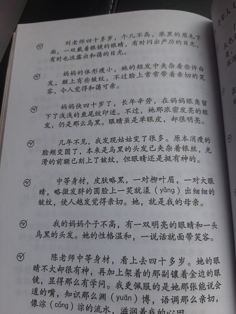 Chinese Phrases for PSLE zuo wen, Hobbies & Toys, Books & Magazines ...