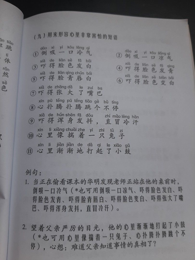 Chinese Phrases for PSLE zuo wen, Hobbies & Toys, Books & Magazines ...