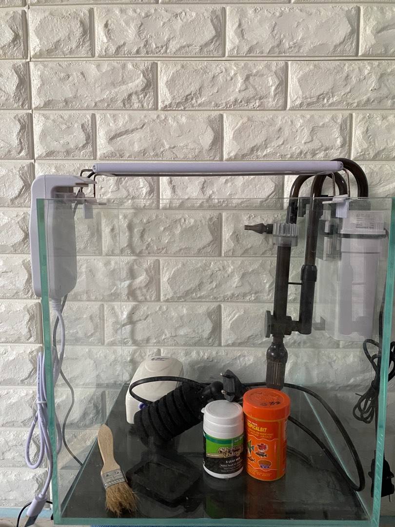 Fish tank (30cm cube) Set, Pet Supplies, Homes & Other Pet Accessories ...