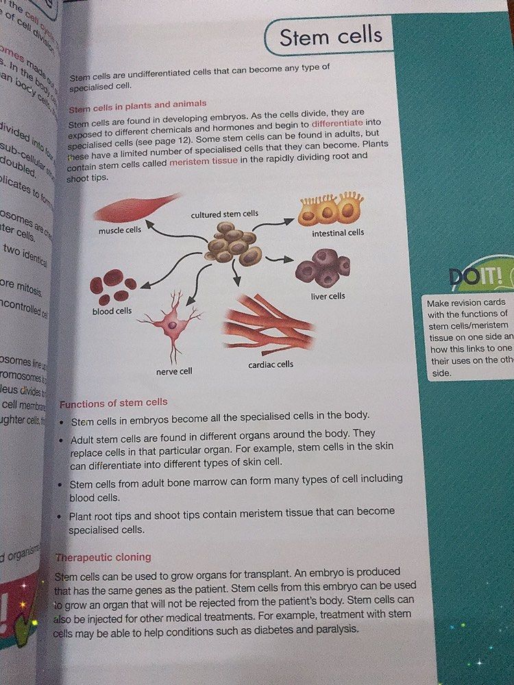 GCSE 9-1 Combined Science Revision Guide, Hobbies & Toys, Books ...