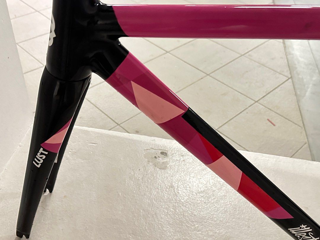 Lust Lexon Fixed Gear Frameset WTT, Sports Equipment, Bicycles & Parts ...