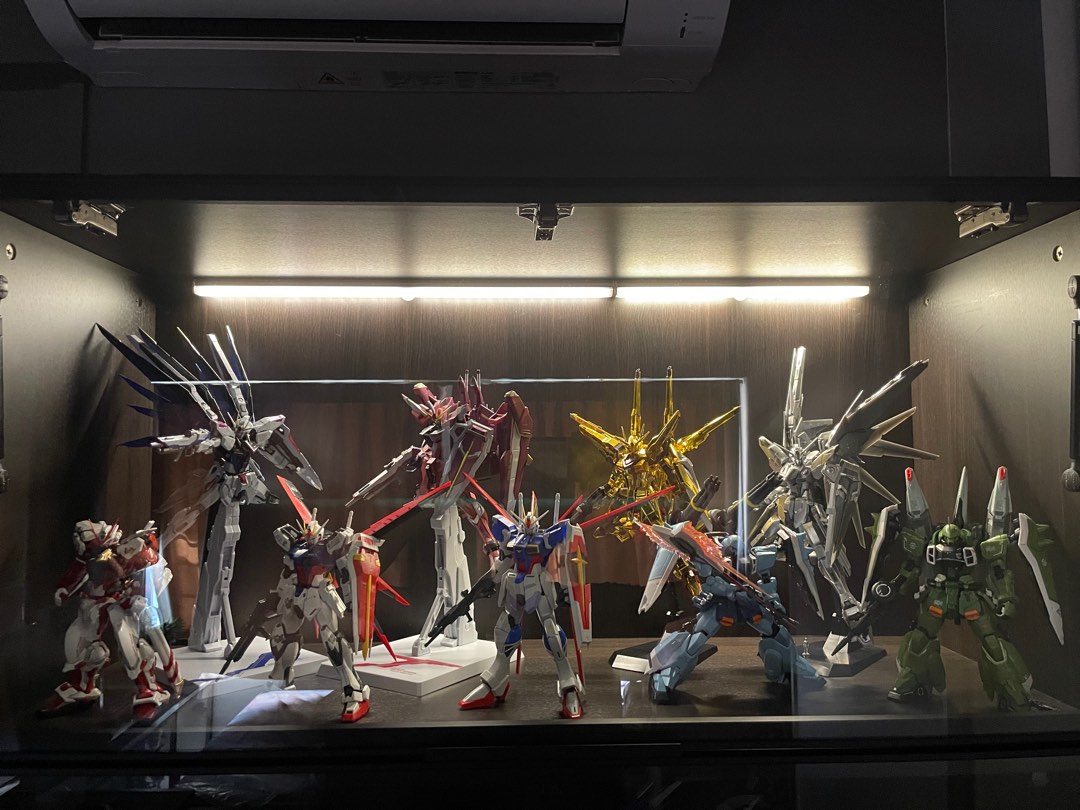 Mg Freedom Gundam Silver Coating Gundam Base Limited, Hobbies & Toys ...