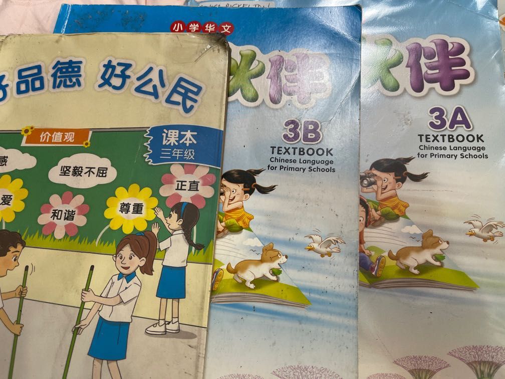 P3 Chinese textbook & CCE, Hobbies & Toys, Books & Magazines, Textbooks ...