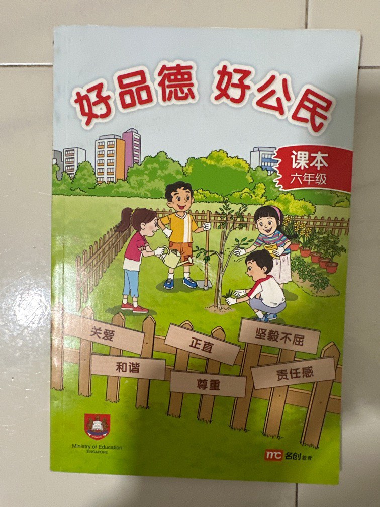 PRIMARY 6 Character & Citizenship Chinese textbook, Hobbies & Toys ...