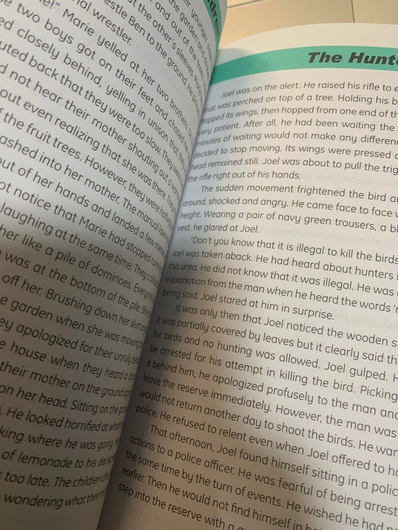 Primary School English Model Essay Book, Hobbies & Toys, Books ...