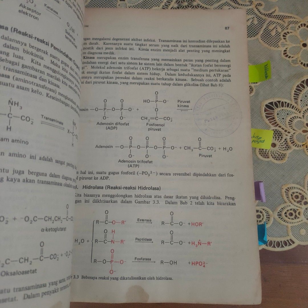 Prinsip-prinsip biokimia David S. Page buku biokimia, Buku & Alat Tulis, Buku Pelajaran di Carousell