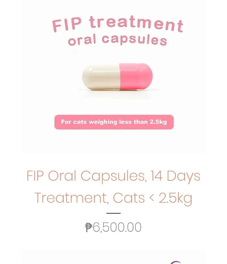 Basmi FIP treatment, Pet Supplies, Health & Grooming on Carousell