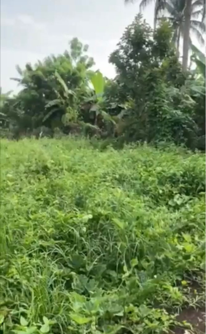 Farm Lot in Alfonso, Cavite, Property, For Sale, Lot on Carousell