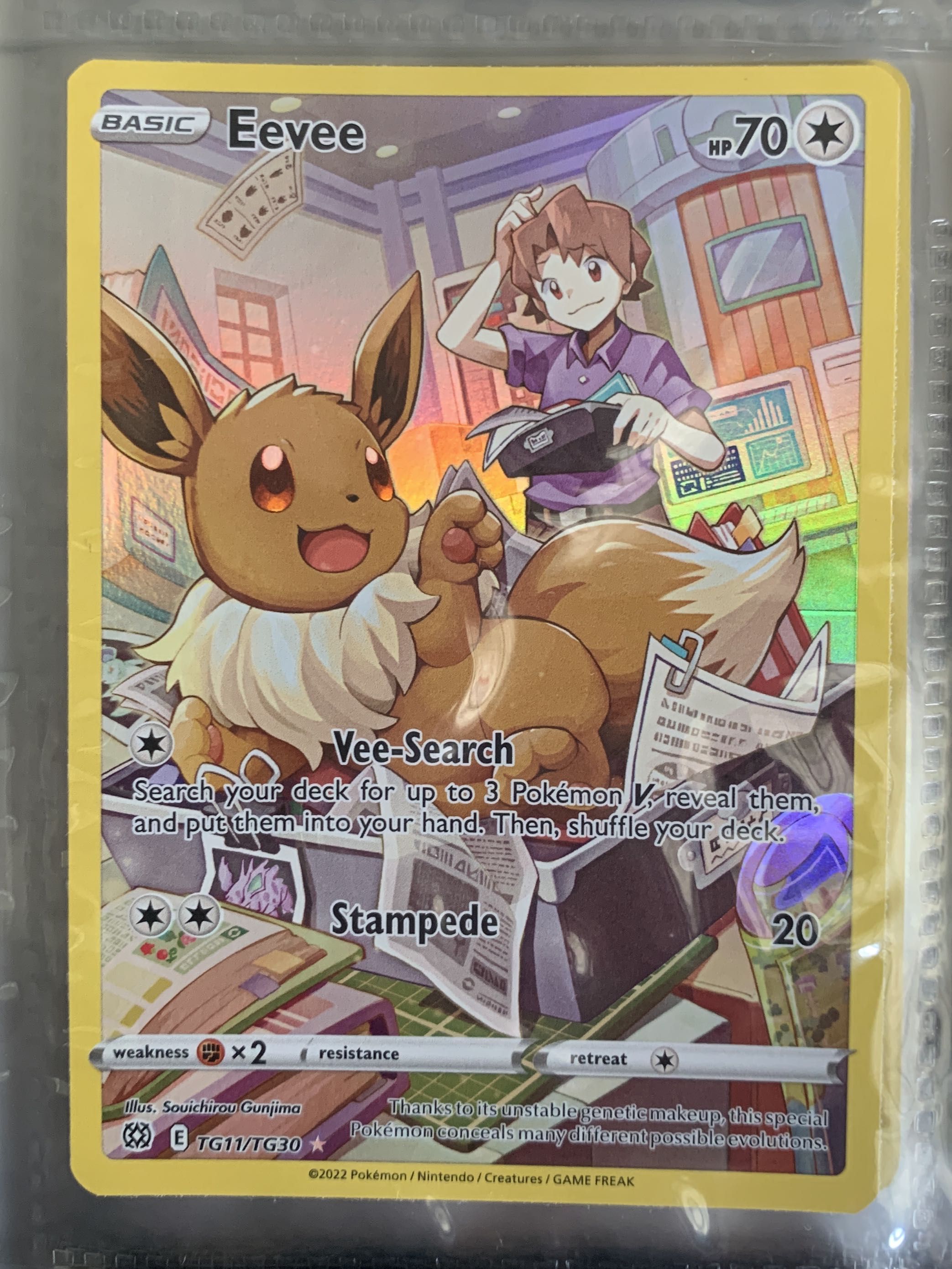 Pokemon TCG Eevee Trainer Gallery Card, Hobbies & Toys, Toys & Games on Carousell
