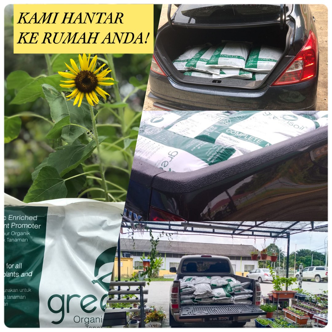 Tanah Baja Campuran Lengkap Mix soil, Furniture & Home Living ...