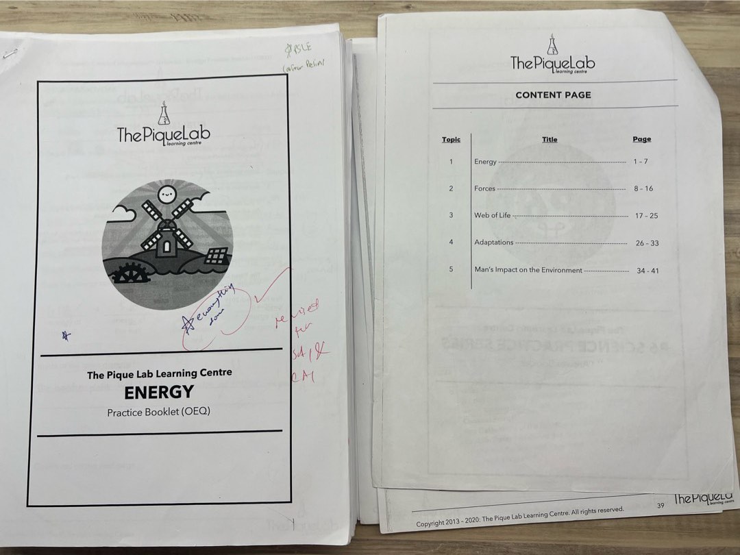 The Pique Lab P6 Science Notes Full Set (Guranteed AL1) - Rarely ...