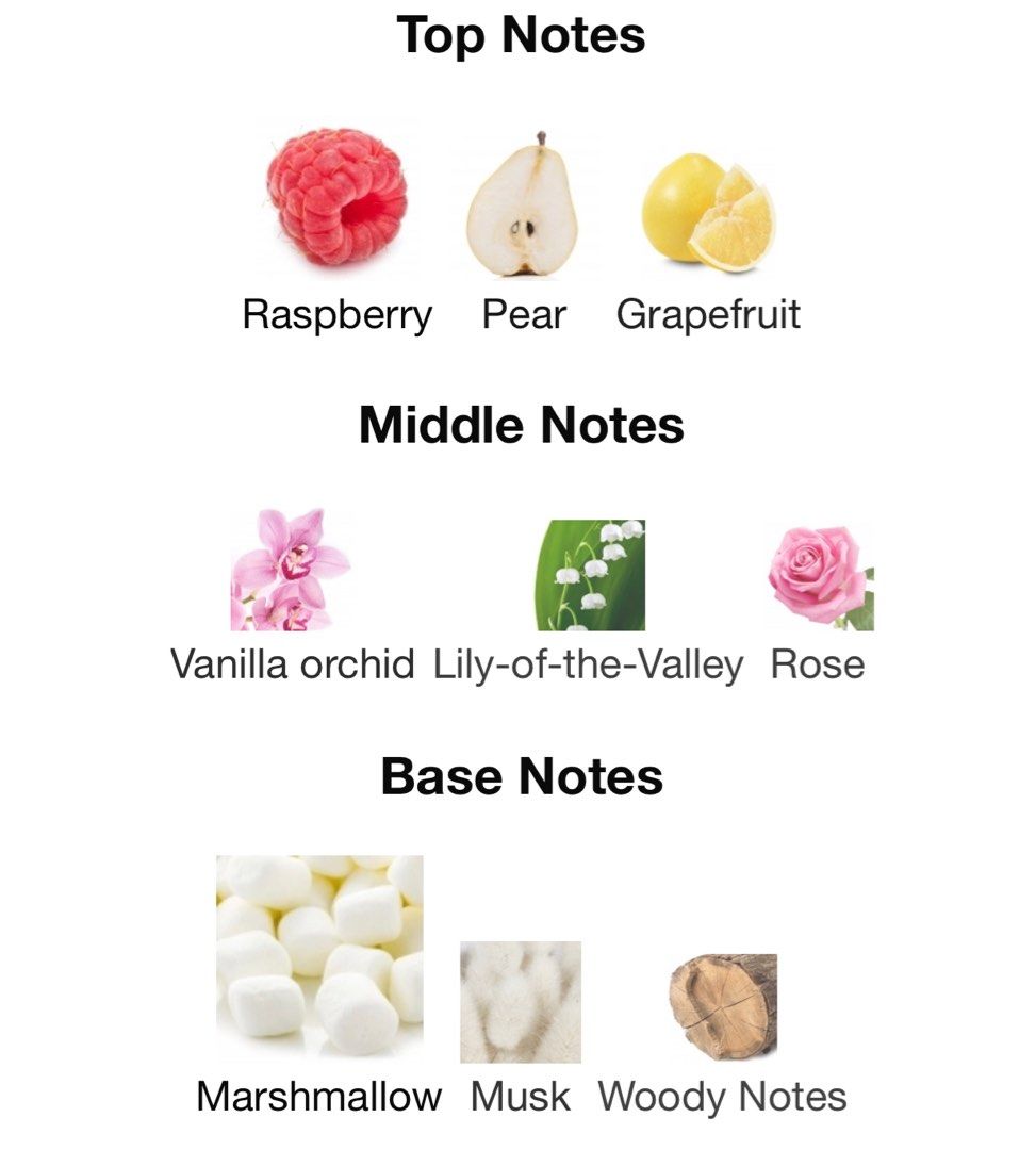 Ariana Grande Ari Perfume, Beauty & Personal Care, Fragrance ...