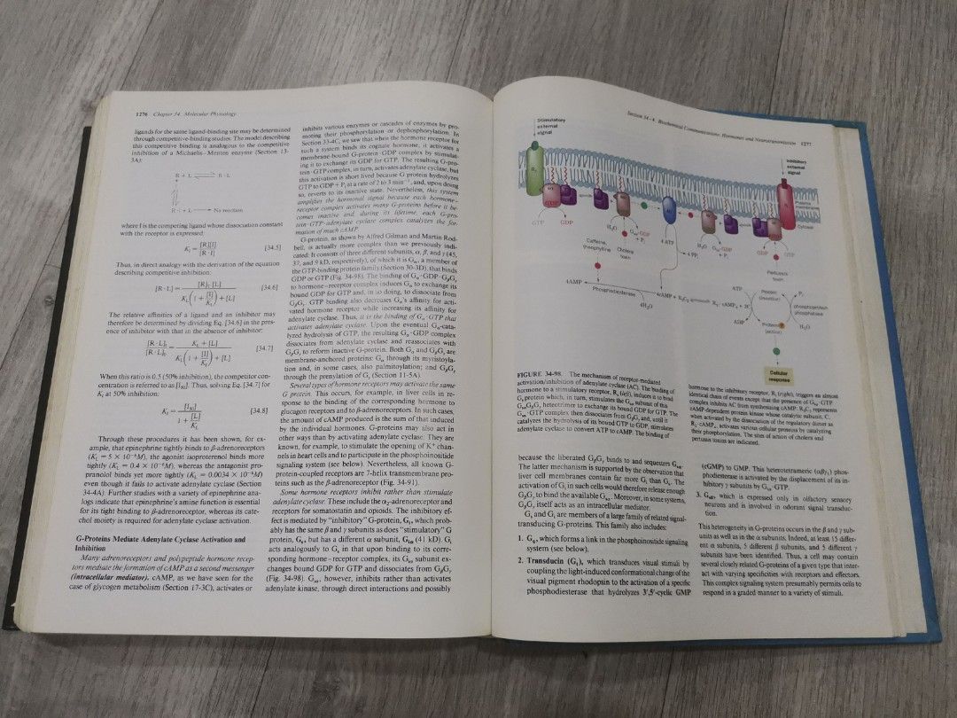 Biochemistry. Donald Judith Voet., Hobbies & Toys, Books & Magazines ...