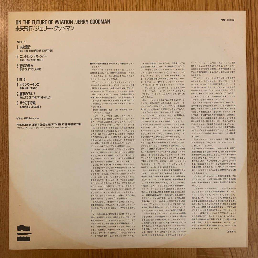 Jerry Goodman – On The Future Of Aviation Vinyl (New Age, Jap 1985 ...